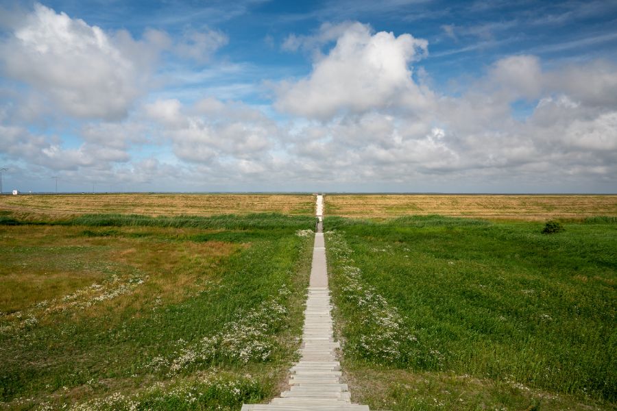 Nationalpark Vadehavet | Oplev unik natur tæt på Esbjerg Camping