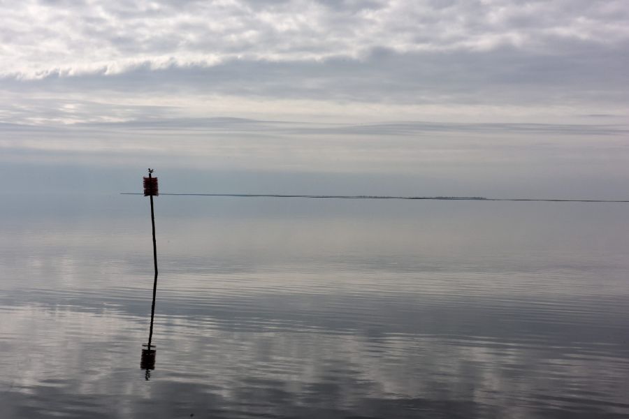 Nationalpark Vadehavet | Oplev unik natur tæt på Esbjerg Camping